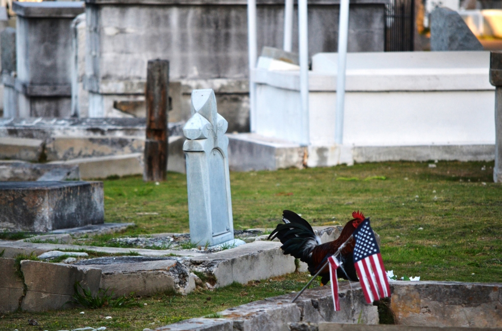 Elegy Written in a Country Churchyard by Thomas Gray (A Poem & A ...